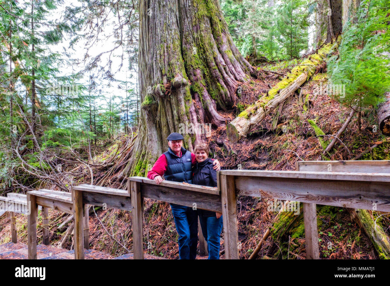 A man and woman stand on the boardwalk of the ancient forest near ...