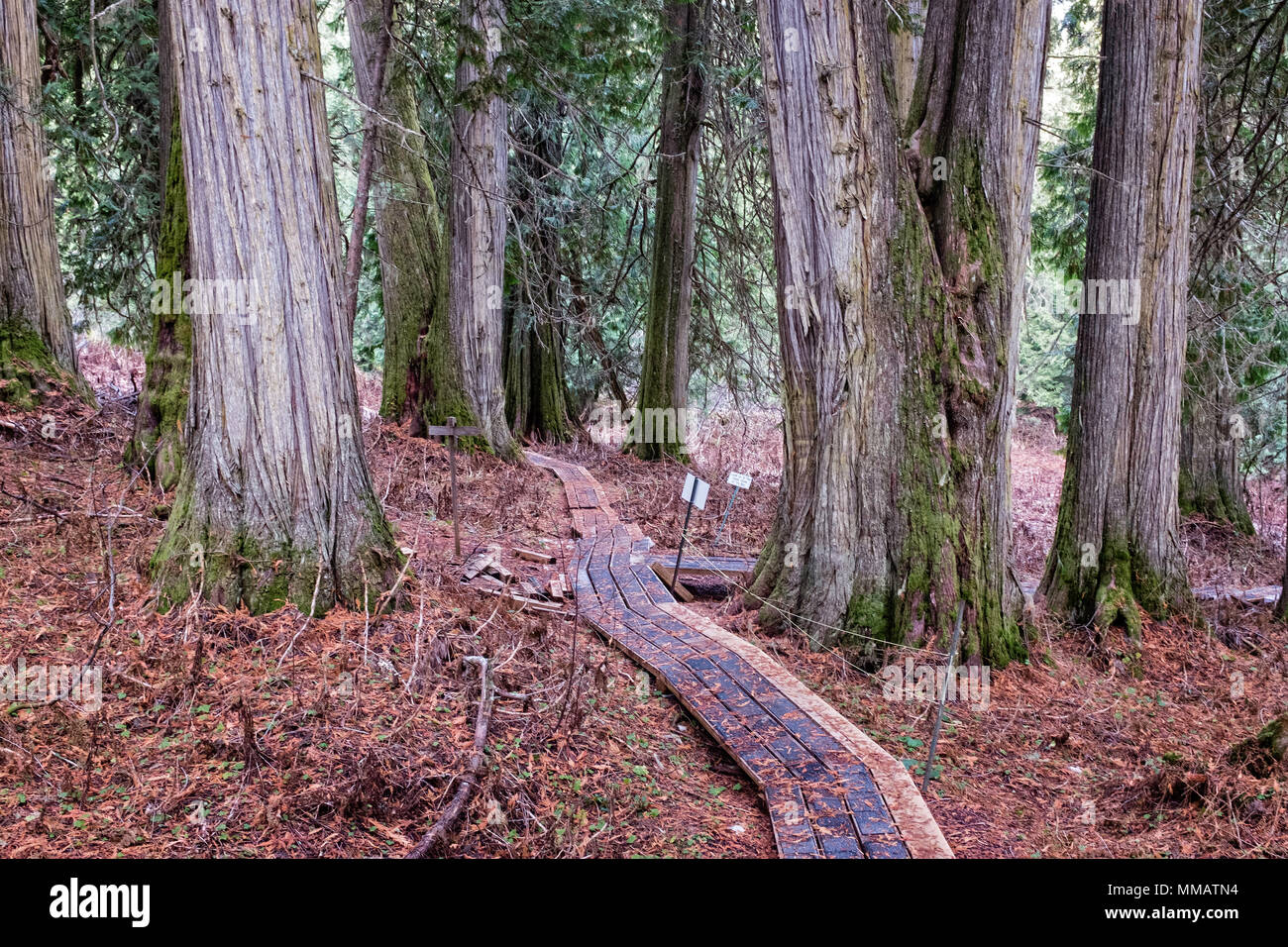 Central british columbia hi-res stock photography and images - Alamy