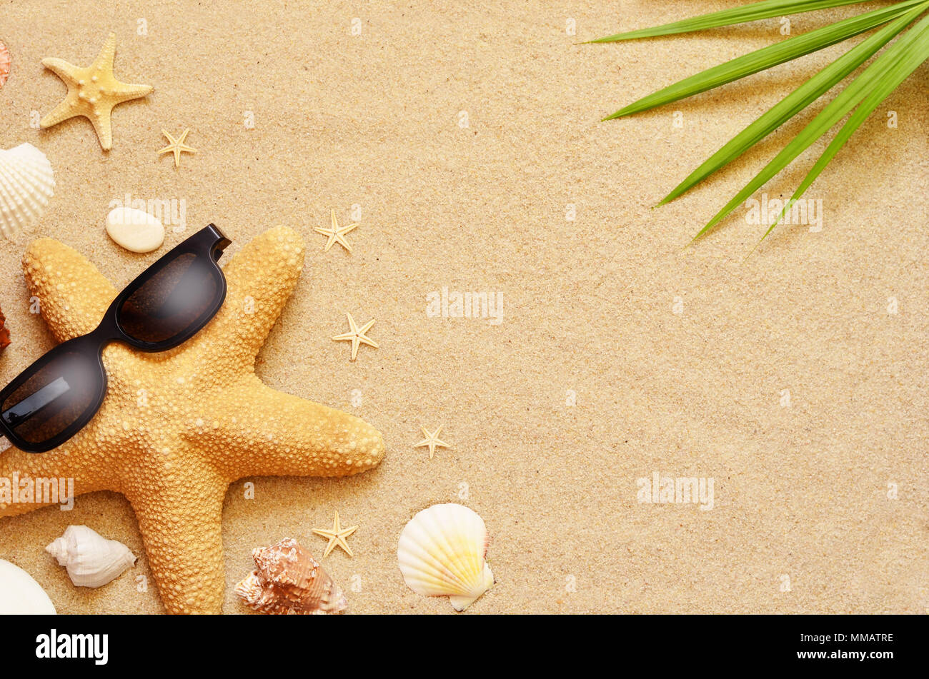Funny starfish and seashells on the summer beach with sand and palm ...