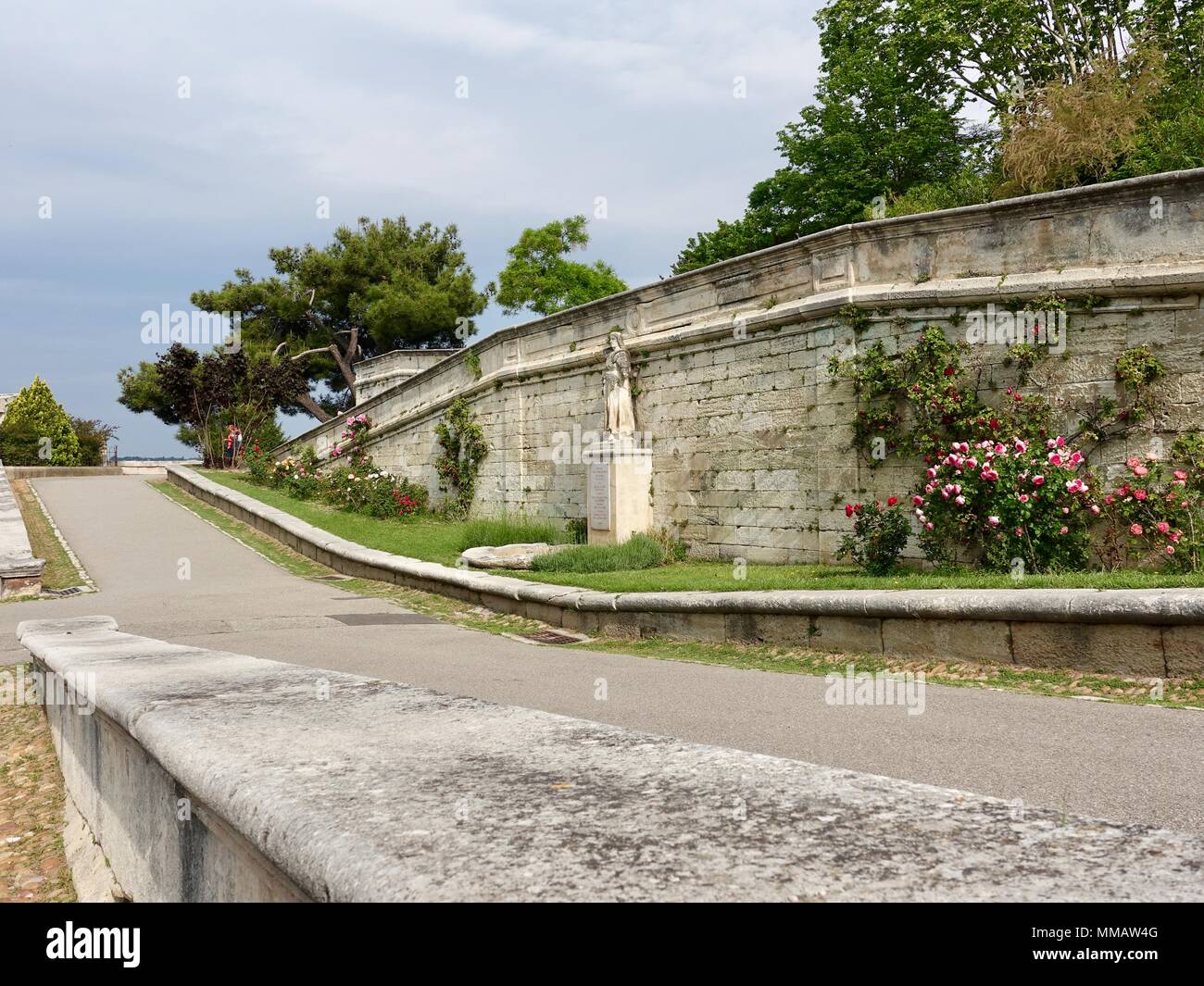Beautiful landscaping with blooming roses and terraced walls on the ...