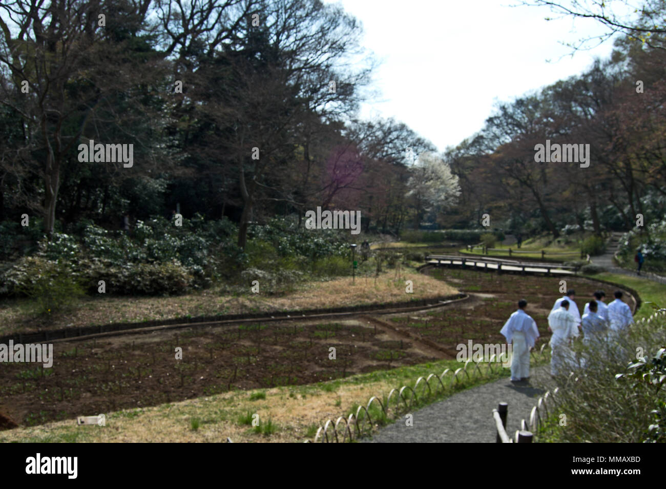 Gardens at Meiji Shrine Inner Garden, Shibuya, Tokyo, Japan Stock Photo ...