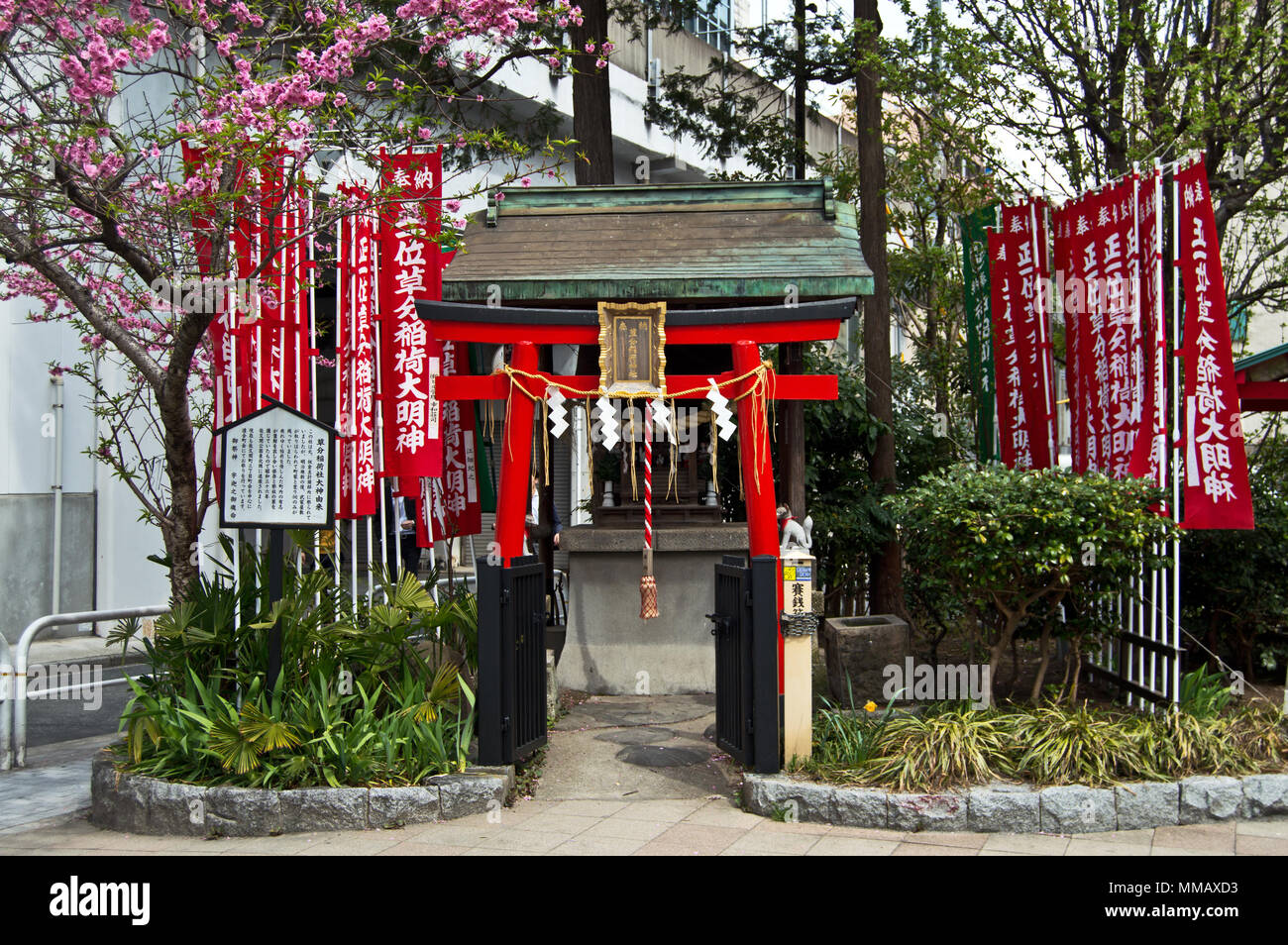 Small torii gate and shrine in park, Tokyo, Japan Stock Photo - Alamy
