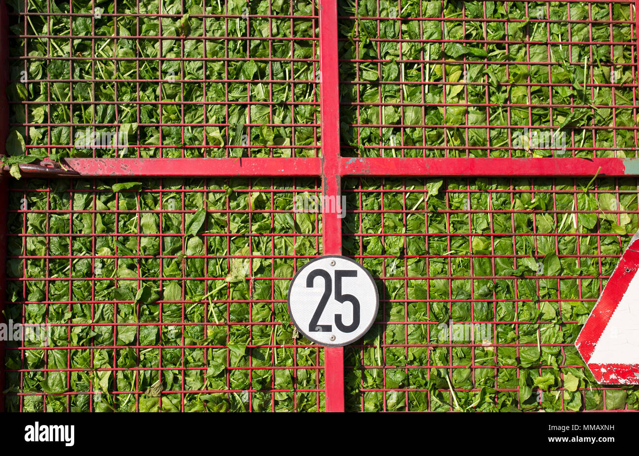 25 speed limit sticker hi-res stock photography and images - Alamy