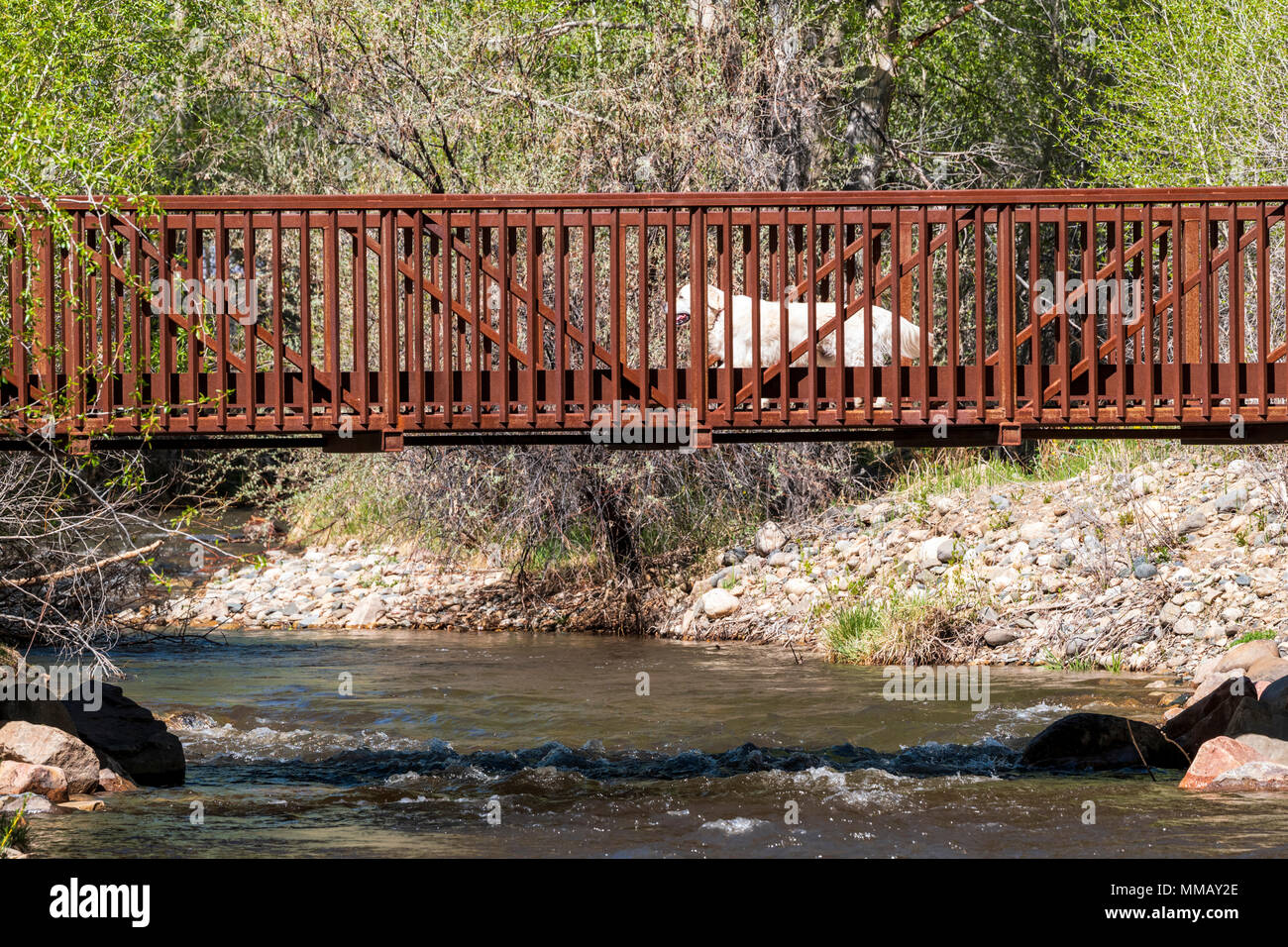 Bridge [river crossing] stream hi-res stock photography and images - Alamy