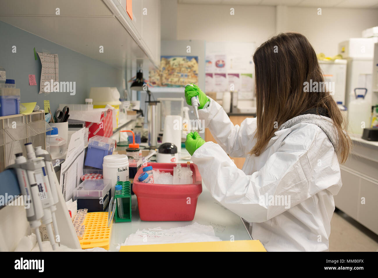 Human liver lab hi-res stock photography and images - Alamy