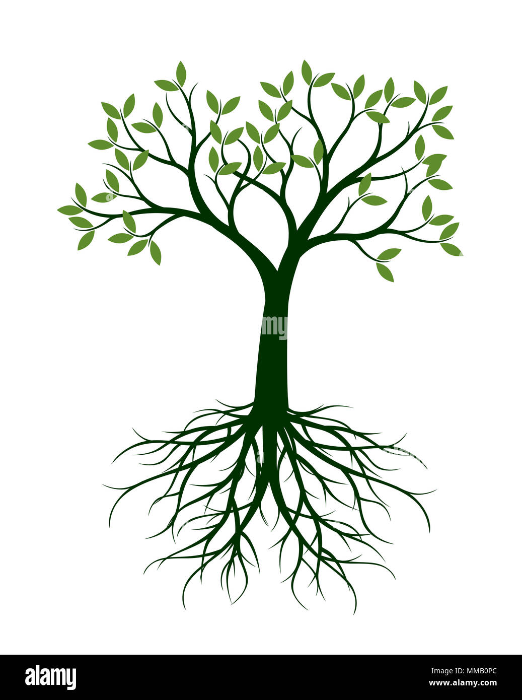 Tree Root Illustration High Resolution Stock Photography and Images - Alamy