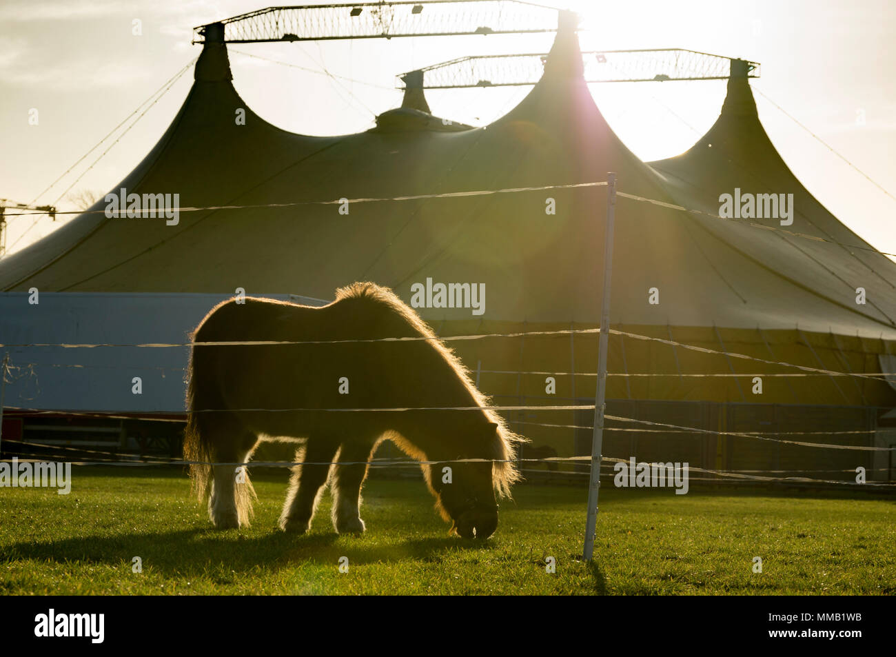 Pony circus tent, The Hague, Netherlands Stock Photo - Alamy