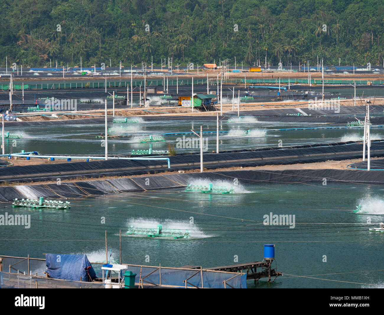 Large, industrial shrimp farm on Kadan Kyun, previously King Island ...
