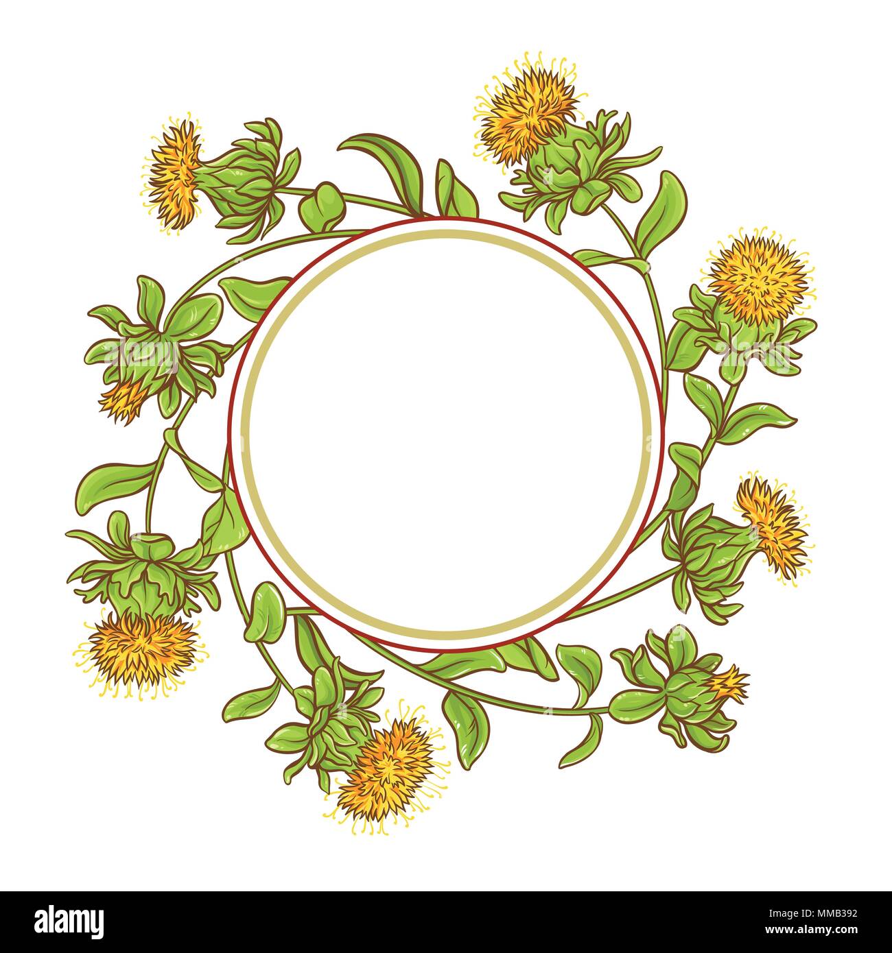 safflower plant vector frame on white background Stock Vector Image ...