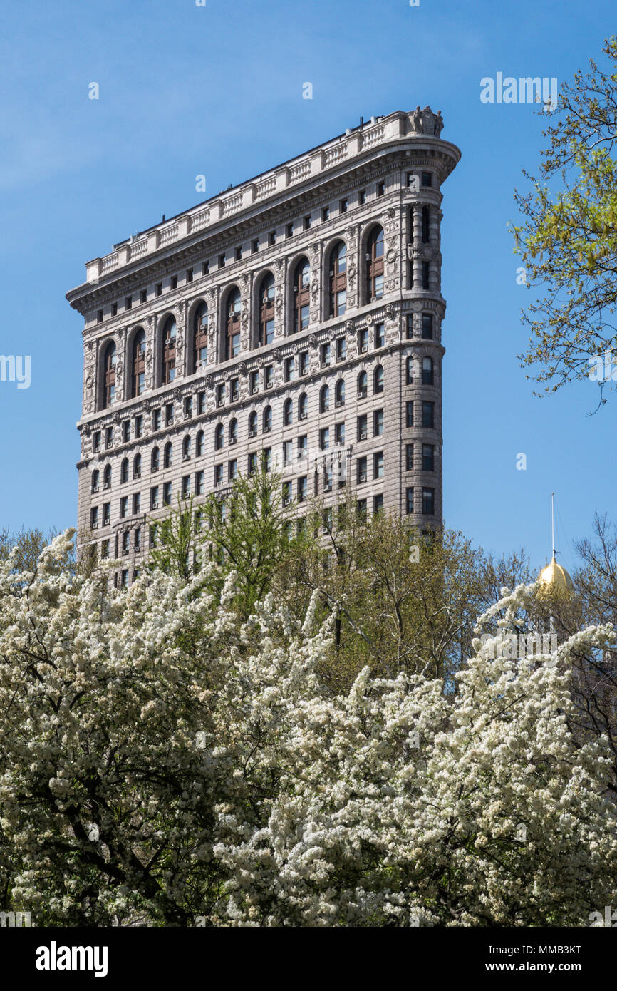 Springtime Blooming Trees in Madison Square Park Enhance the Historic ...