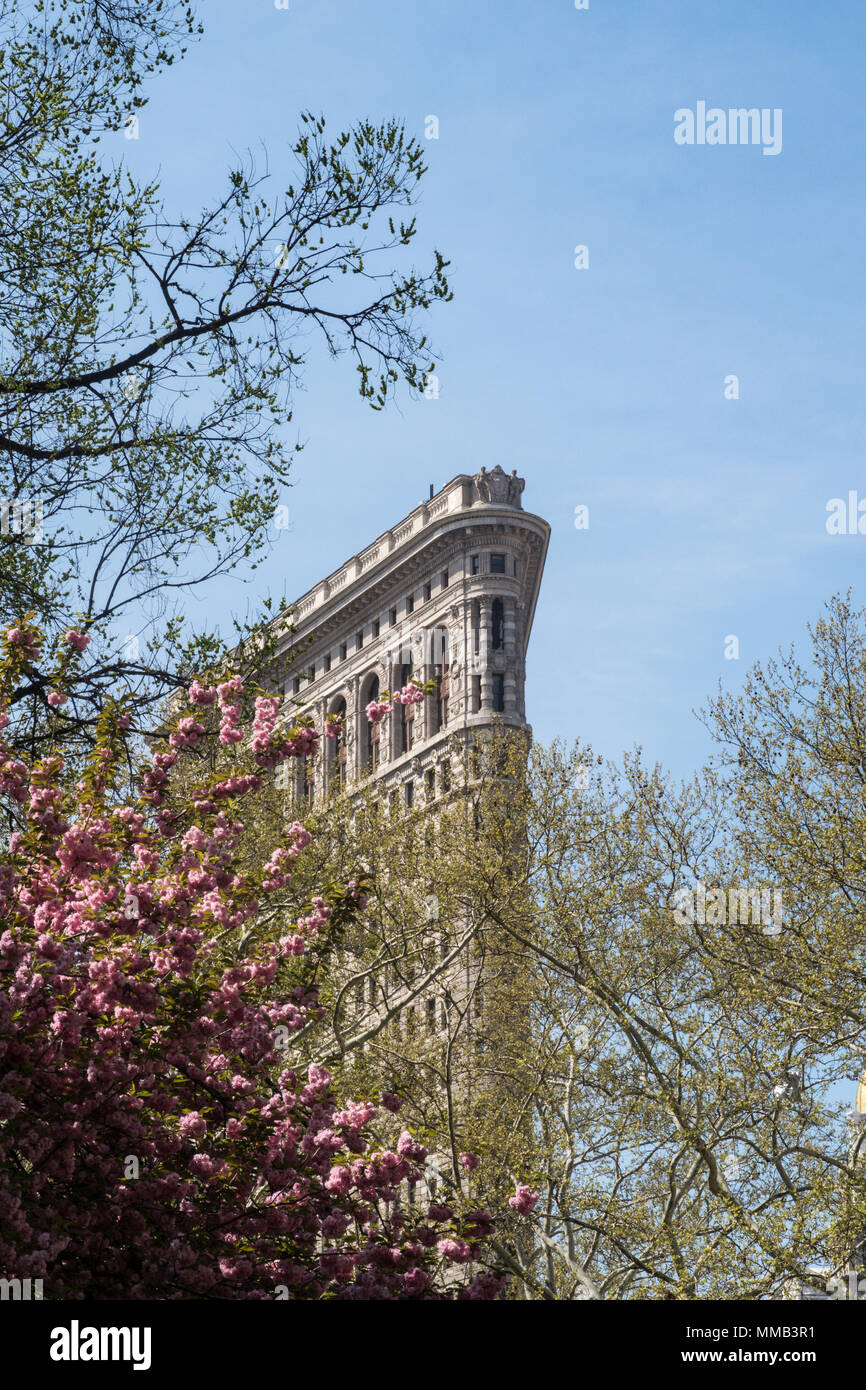 Springtime Blooming Trees in Madison Square Park Enhance the Historic ...