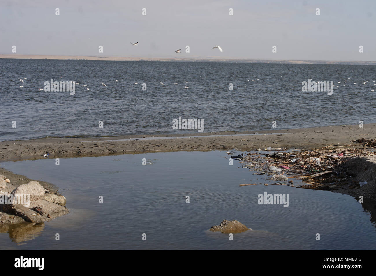 General view of the lake Stock Photo - Alamy