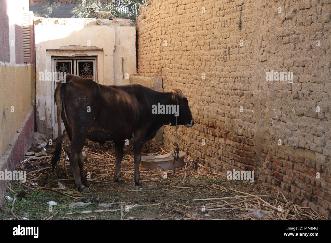 Infront of his house hi-res stock photography and images - Alamy