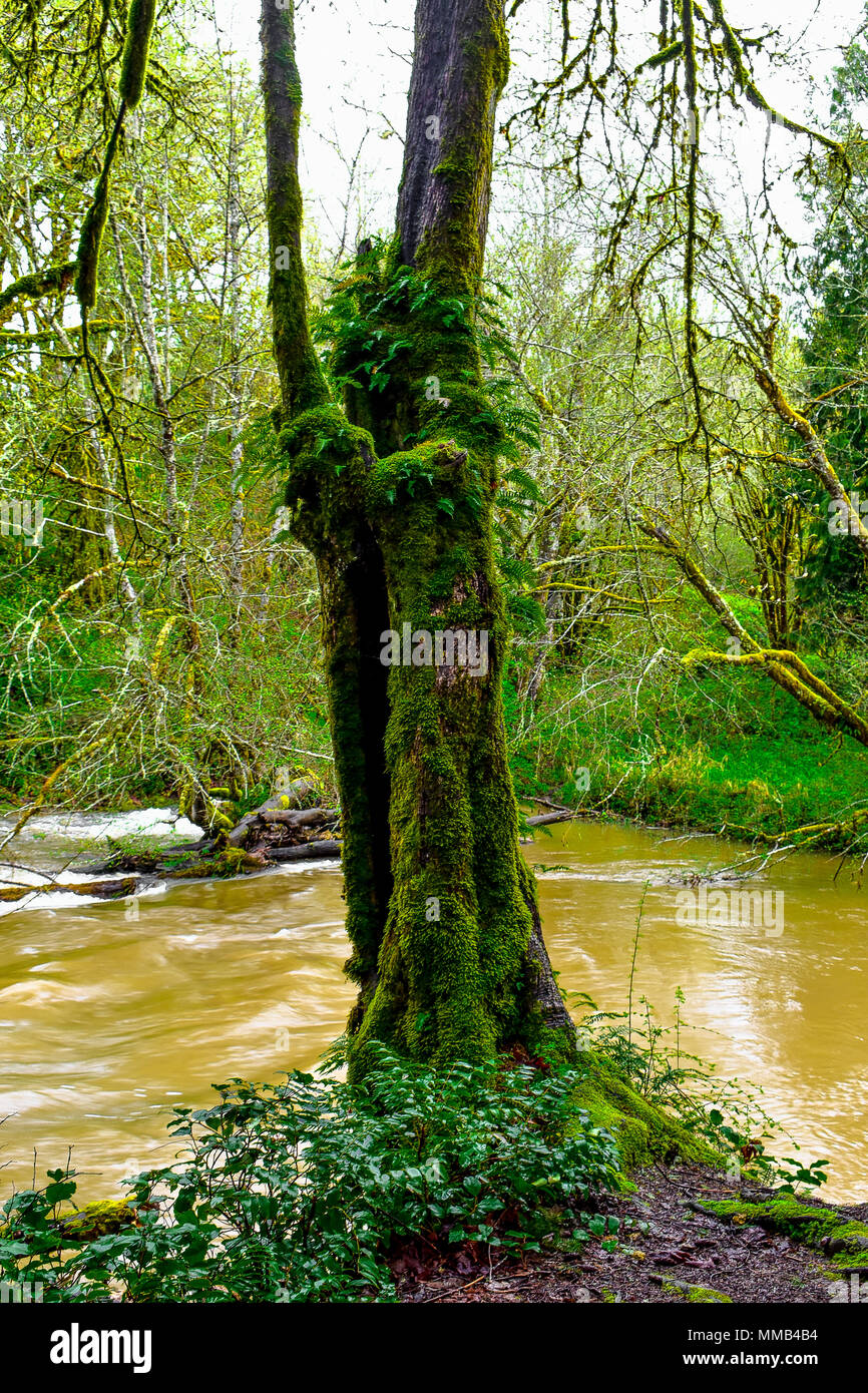 The First Batch Stock Photo - Alamy