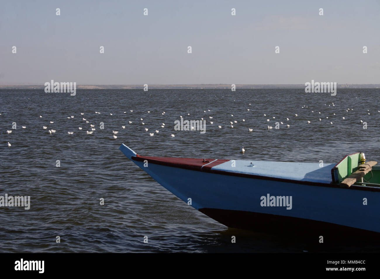 Birds and boat Stock Photo - Alamy