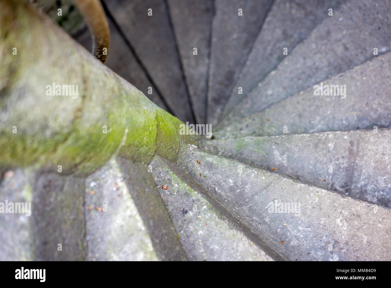 Natural stair case hi-res stock photography and images - Alamy