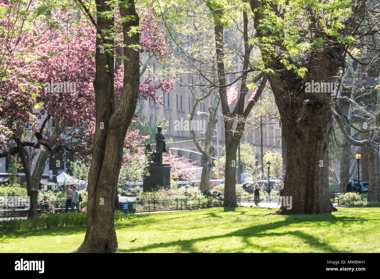 Madison Square Park is beautiful in the springtime with flowering trees ...