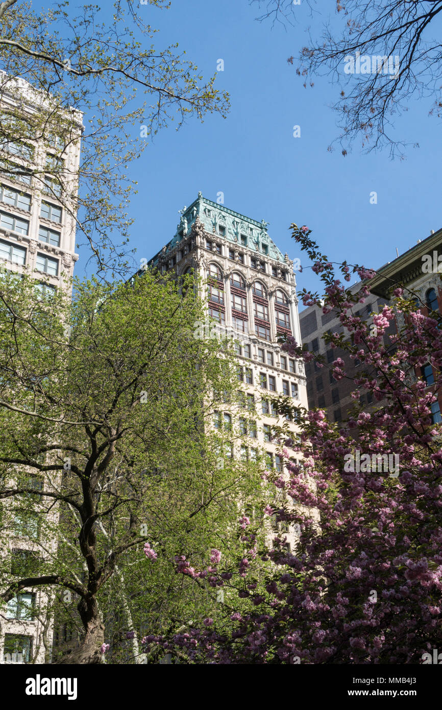New york park avenue spring hi-res stock photography and images - Alamy