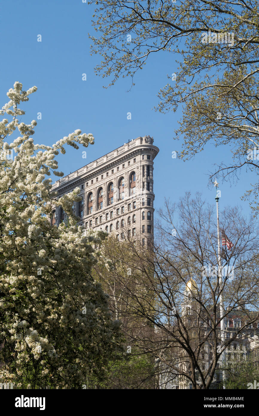 Springtime Blooming Trees in Madison Square Park Enhance the Historic ...