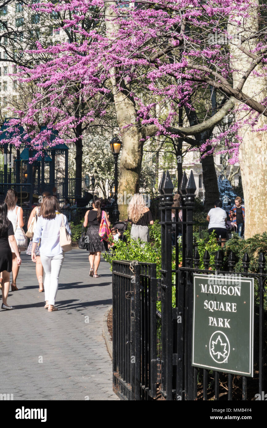 People walking through square hi-res stock photography and images - Alamy