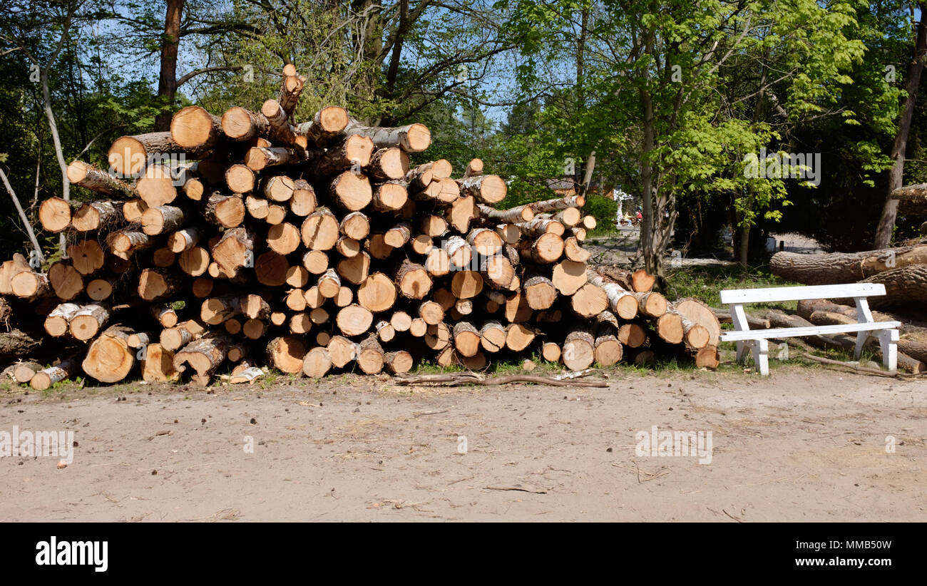 trees cut from forests and parks Stock Photo - Alamy