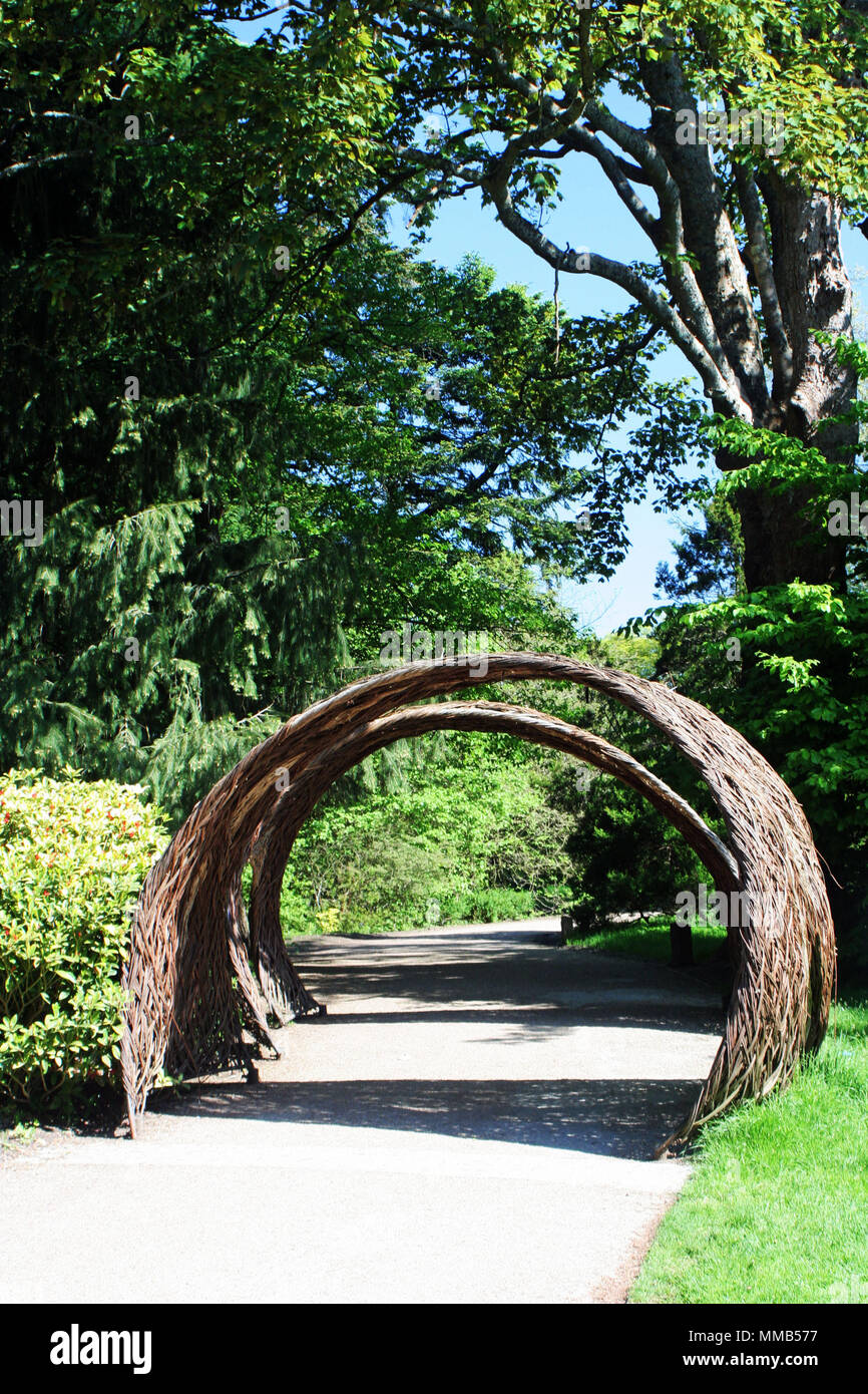 Flores wakehurst hi-res stock photography and images - Alamy