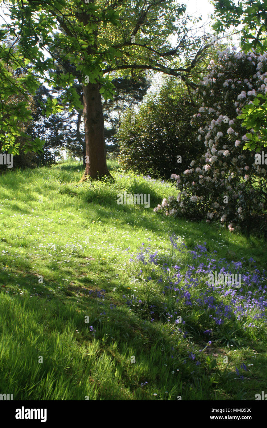 The royal botanic gardens wakehurst hi-res stock photography and images ...