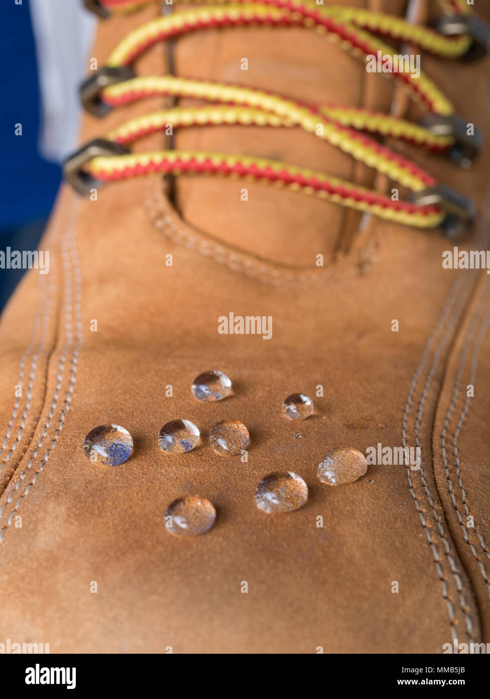 Membrane shoes hi-res stock photography and images - Alamy