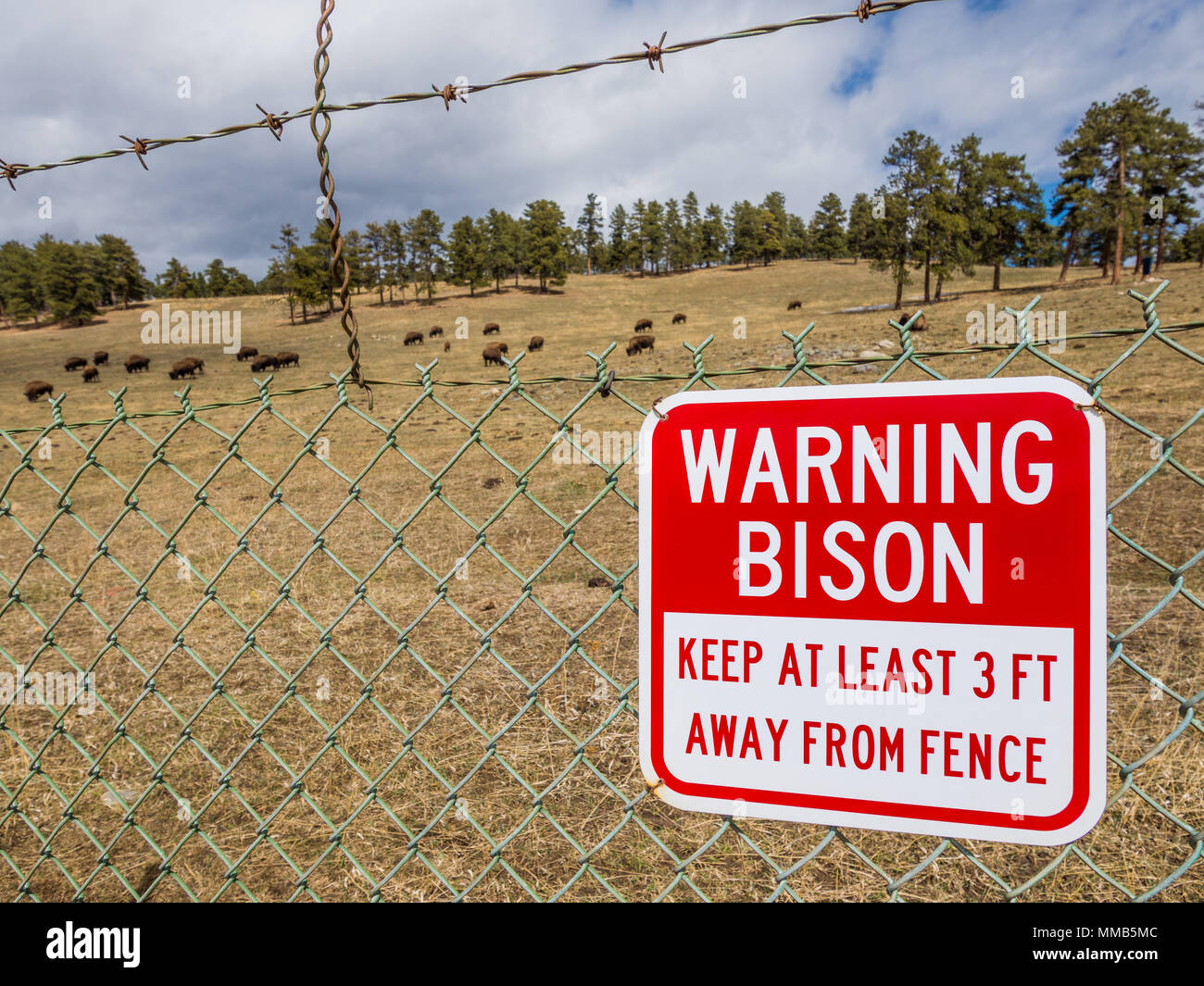 American Bison reserve, Golden, Colorado, USA Stock Photo - Alamy