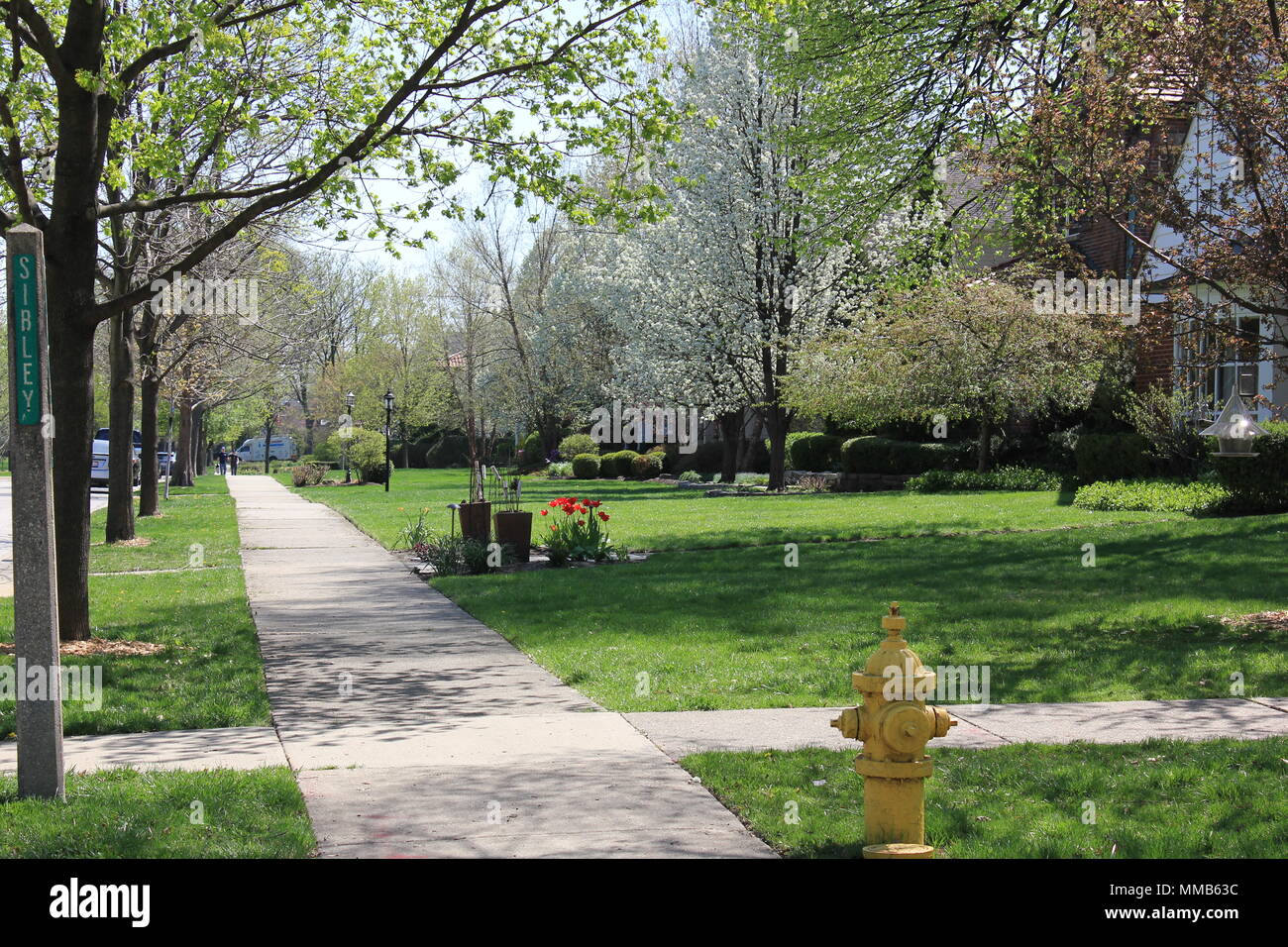 Upper middle class older suburb with a sidewalk Stock Photo - Alamy