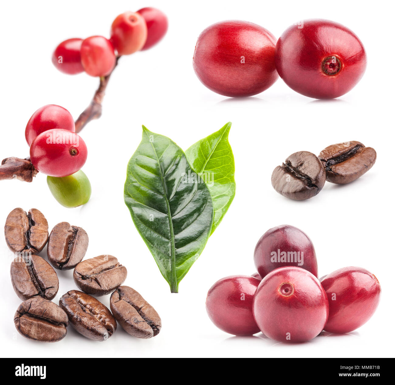 Collection of Red coffee beans isolated on white background Stock Photo ...