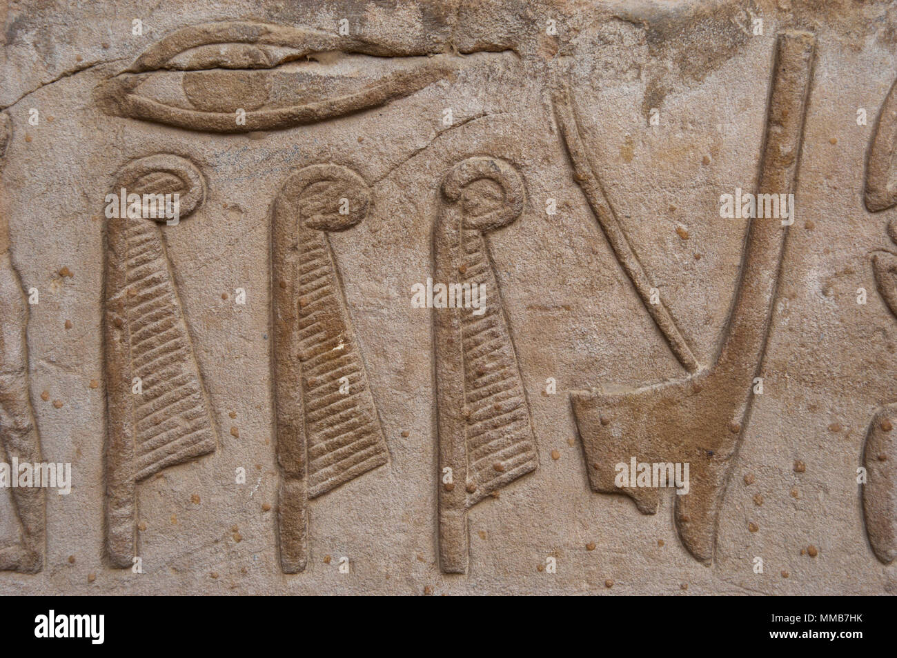 Tefnut In Hieroglyphics