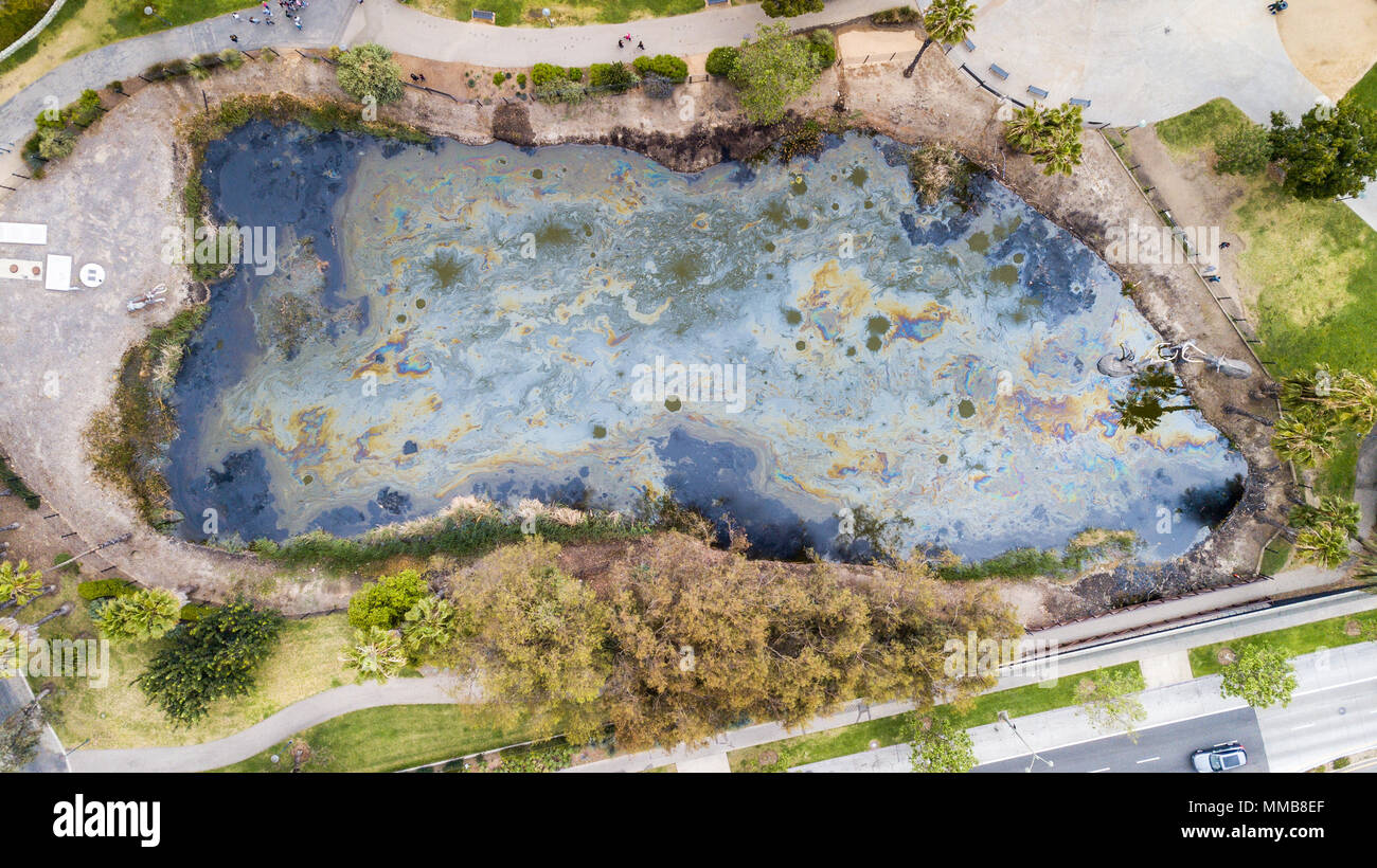 La Brea tar pits, Los Angeles, California Stock Photo - Alamy