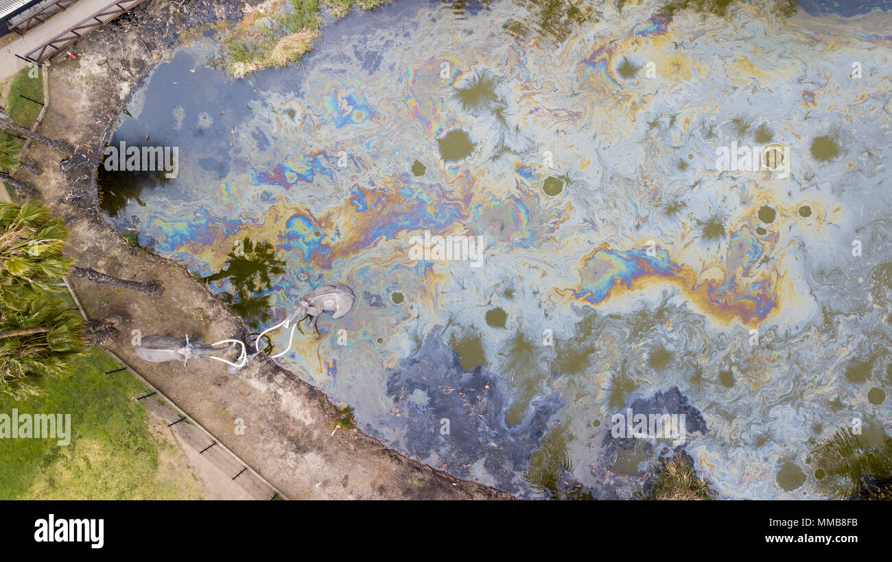 Mammoths trapped in tar display, La Brea tar pits, Los Angeles ...