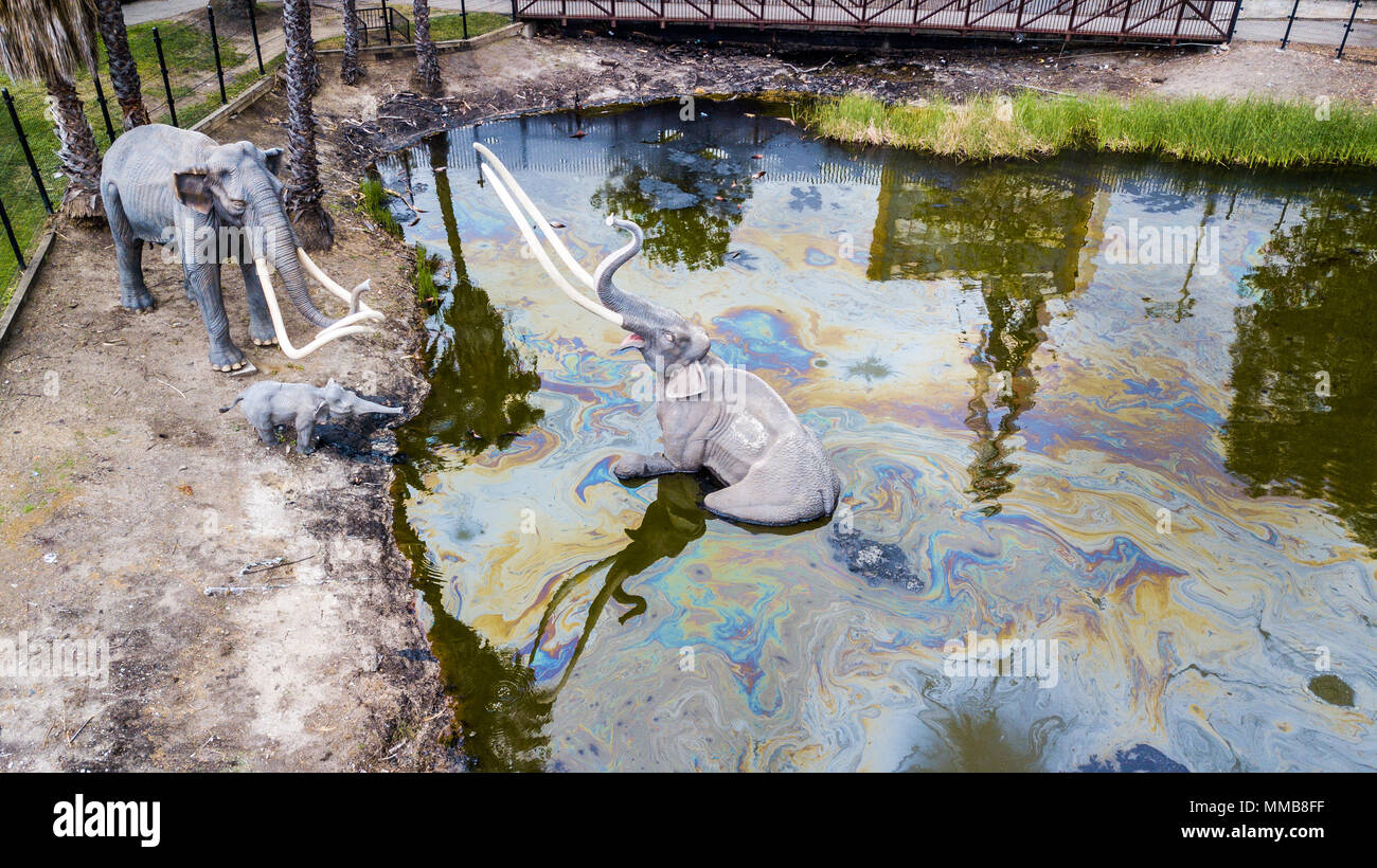 Mammoths trapped in tar display, La Brea tar pits, Los Angeles ...