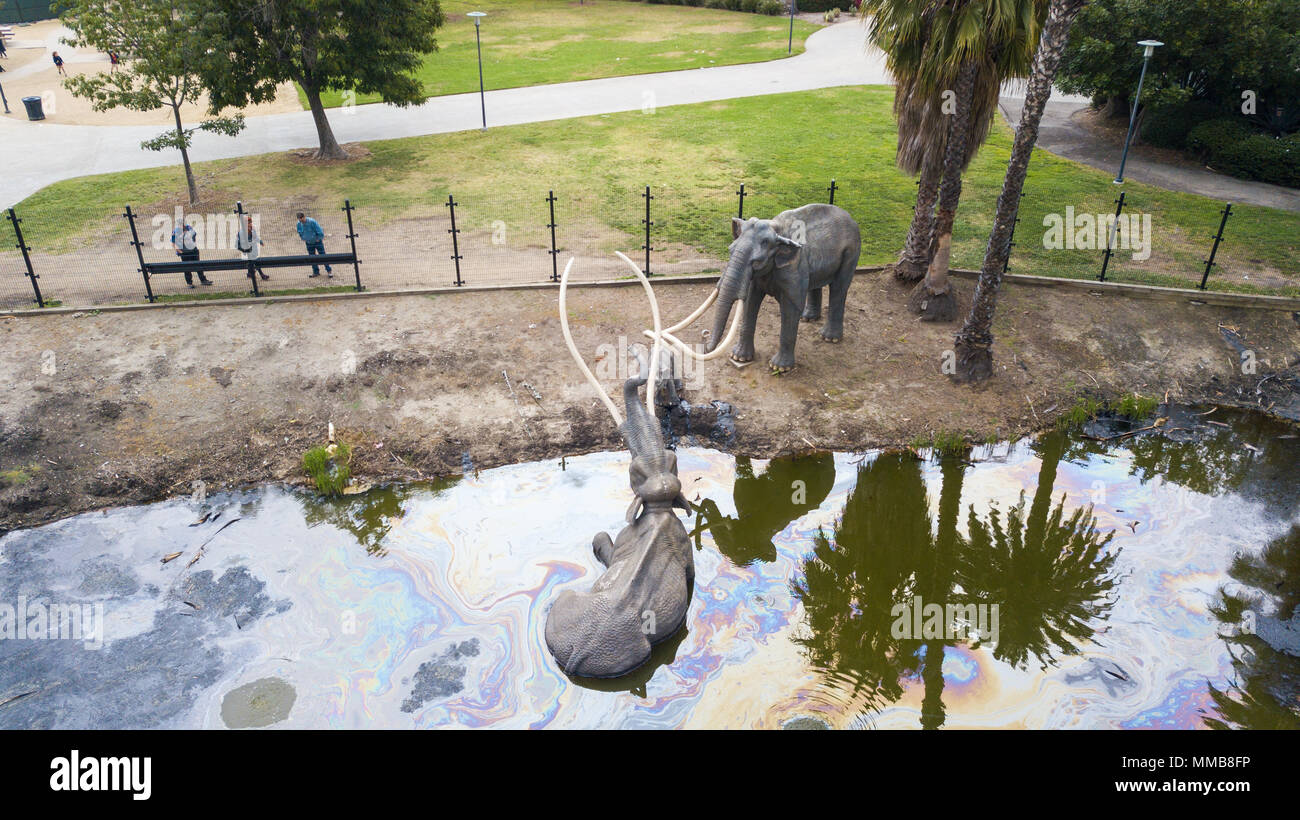 Mammoths trapped in tar display, La Brea tar pits, Los Angeles ...