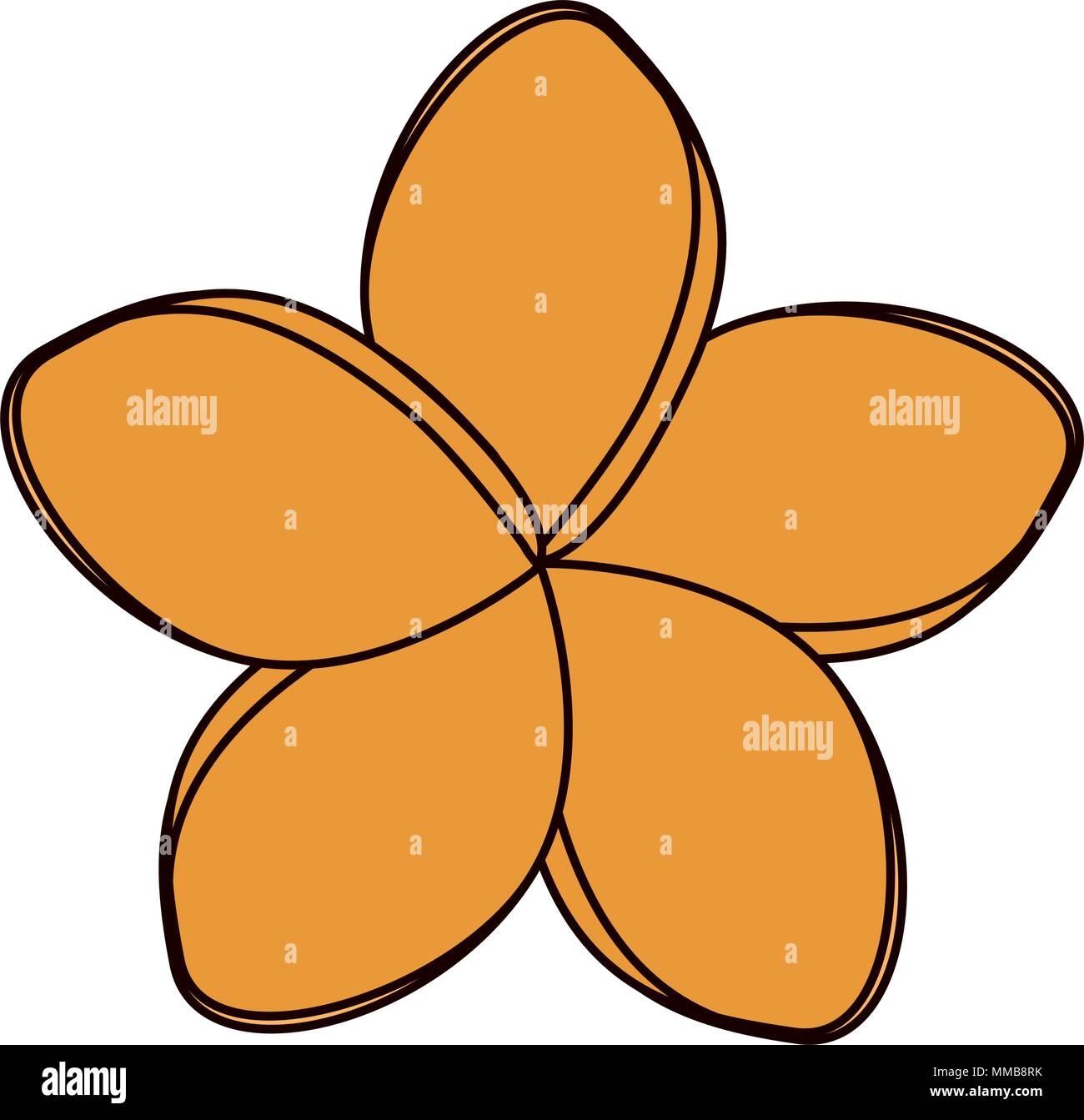 beautiful flower decorative icon Stock Vector Image & Art - Alamy