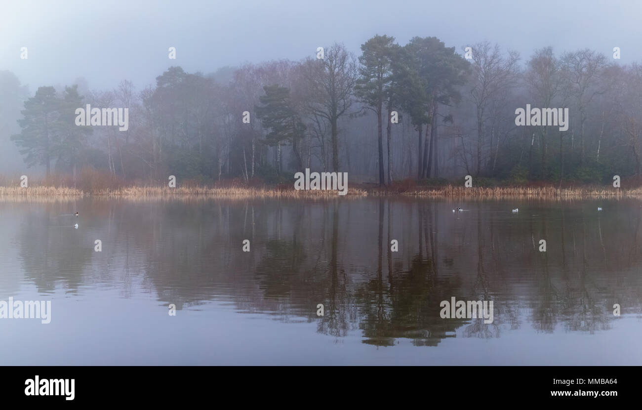 Stover hi-res stock photography and images - Alamy