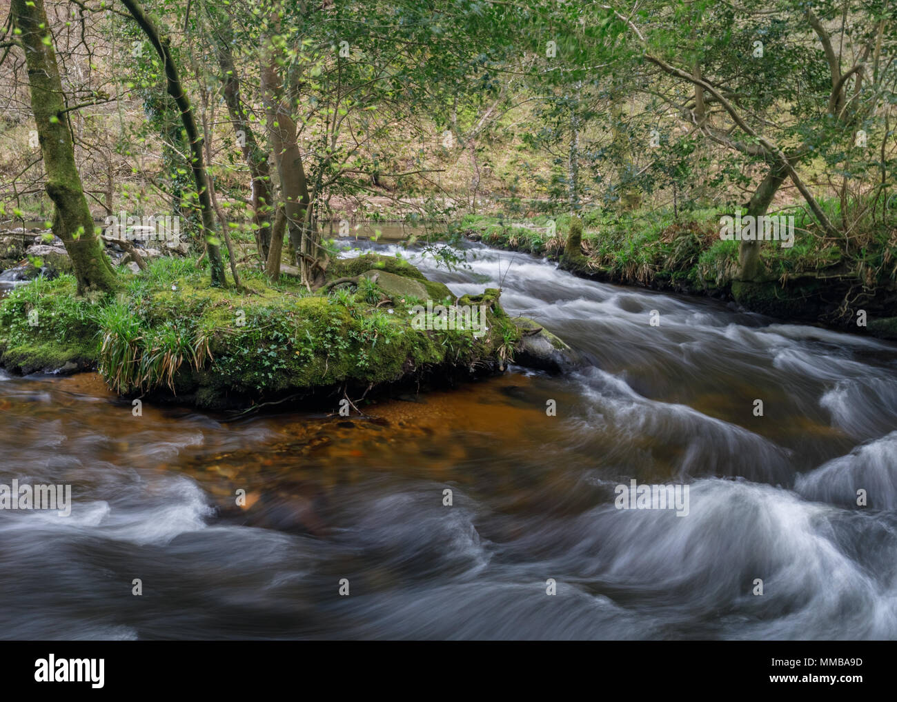 Teign castle hi-res stock photography and images - Alamy