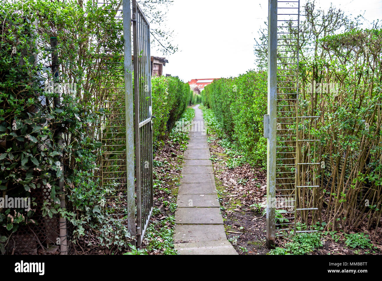 Walkway of an estate between an opened iron gate Stock Photo - Alamy