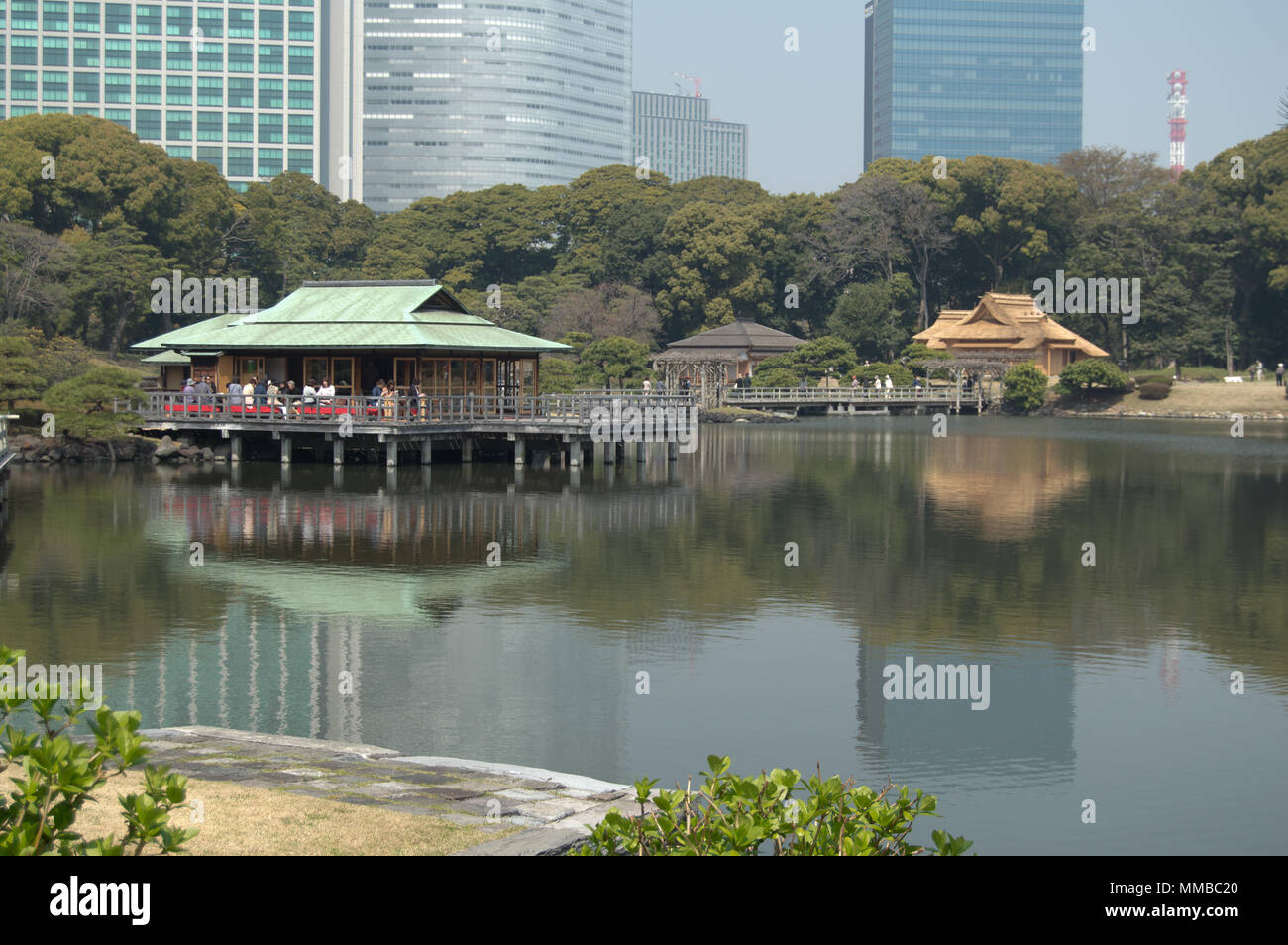Cherry blossom hama rikyu gardens hamarikyu hi-res stock photography ...