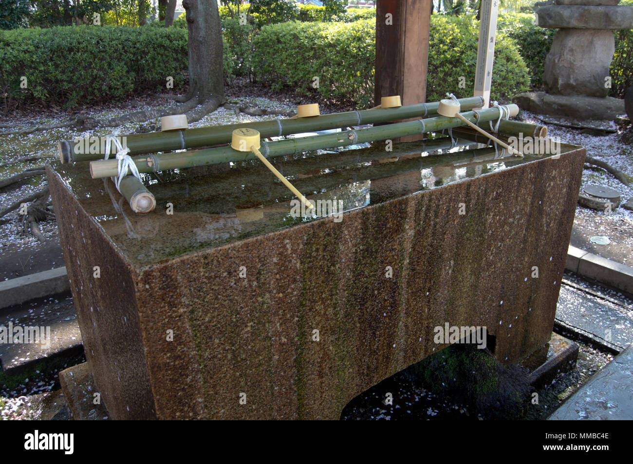 Hand wash basin at Zojo-ji temple, Tokyo, Japan Stock Photo - Alamy