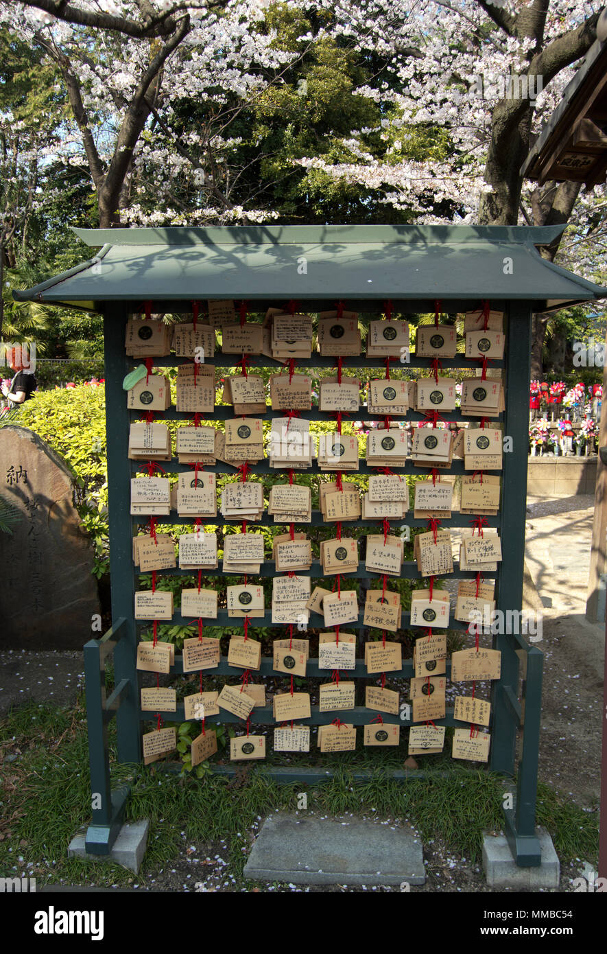 Wooden votive tablets at Zojo-ji temple, Tokyo, Japan Stock Photo - Alamy