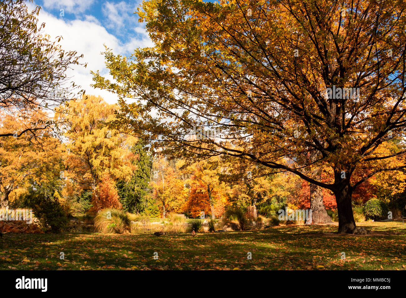 Queenstown gardens hi-res stock photography and images - Alamy