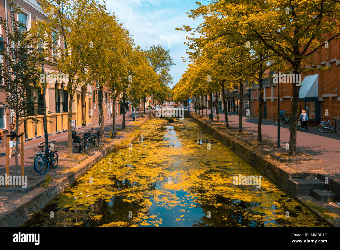 Plants Canals High Resolution Stock Photography and Images - Alamy
