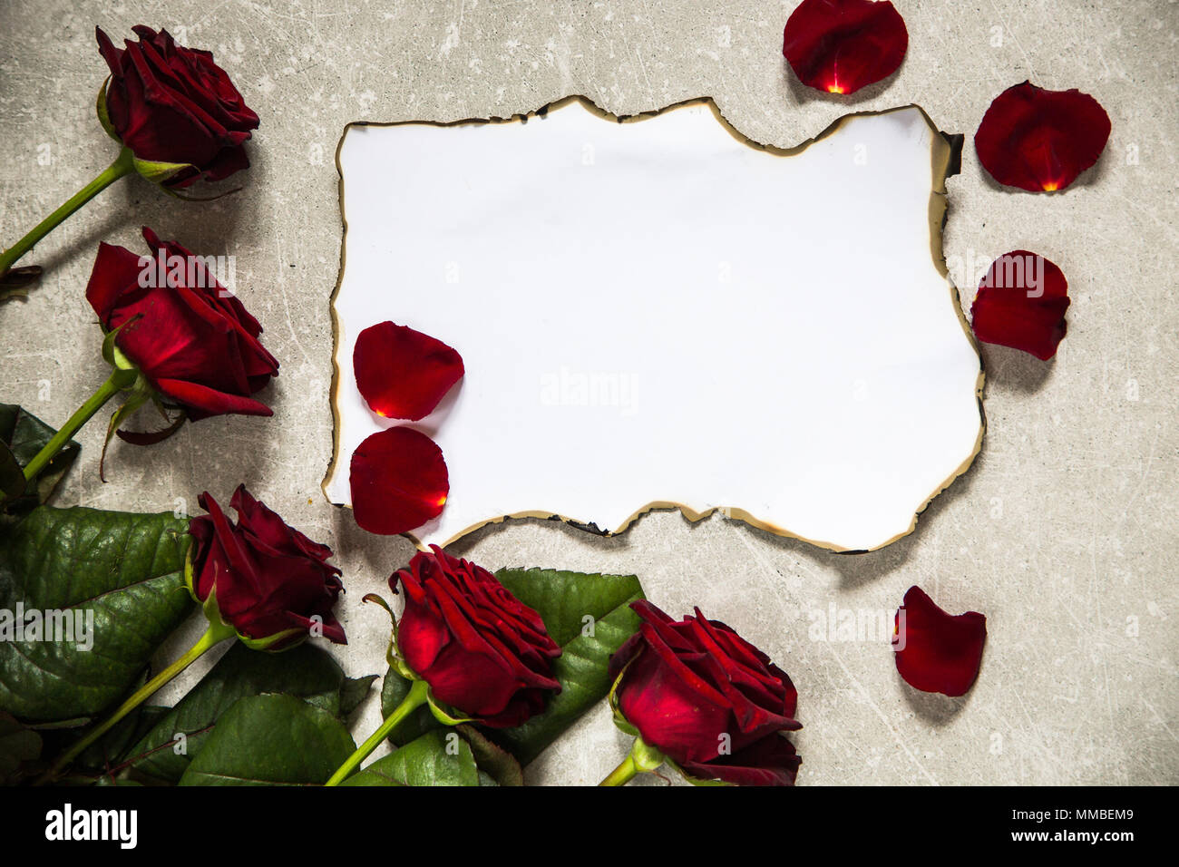 Red roses and a blank invitation card. roses and vintage paper Stock ...