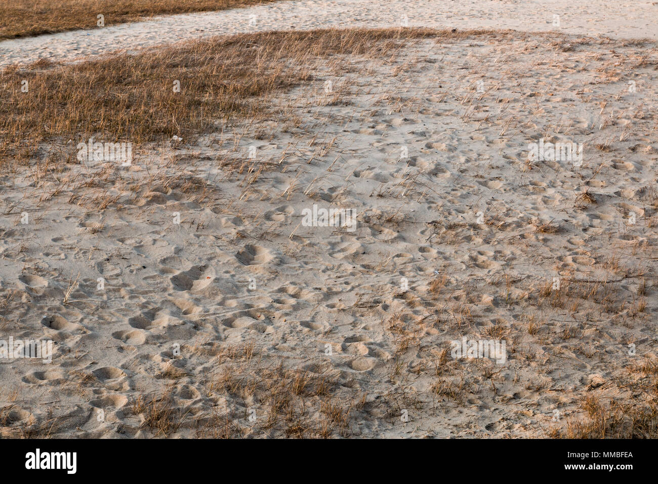 Sand on the North Sea Stock Photo - Alamy