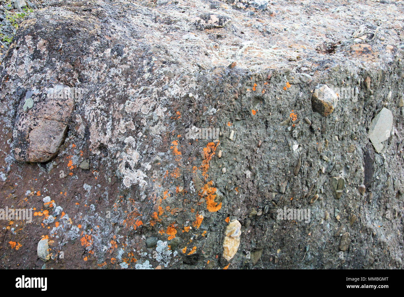 Conglomerate stone hi-res stock photography and images - Alamy