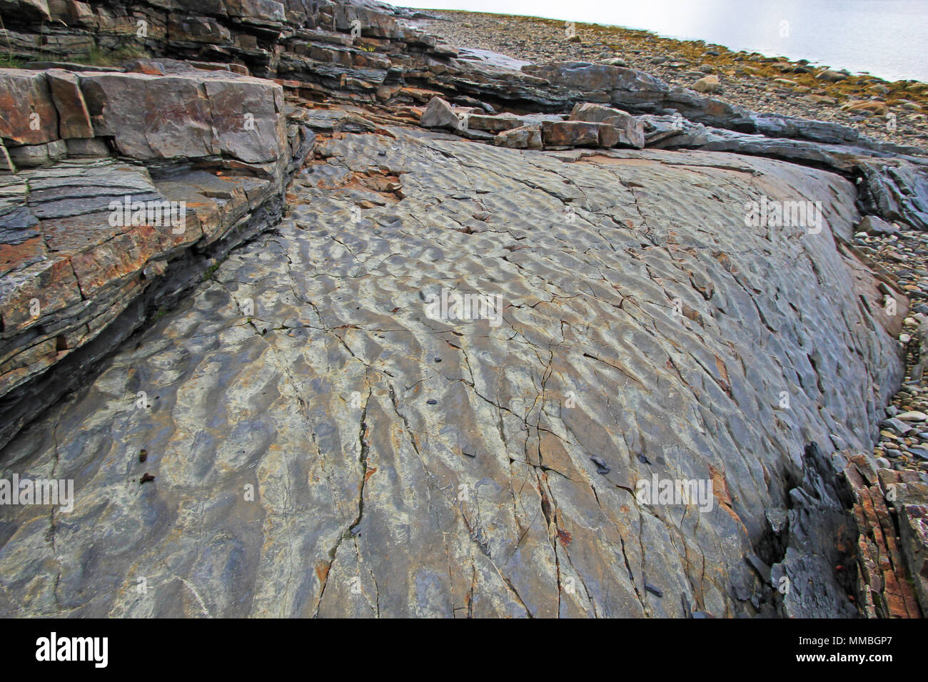 Glacier polished slab hi-res stock photography and images - Alamy