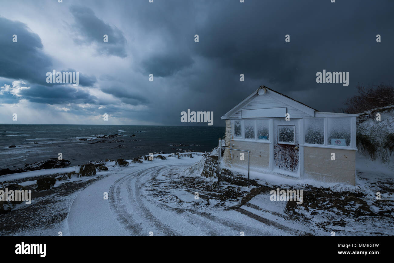 Winter tree snow lizard hi-res stock photography and images - Alamy